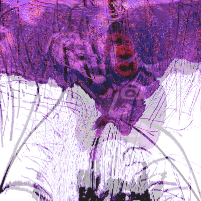 Drosser 1 Drey | Mehta