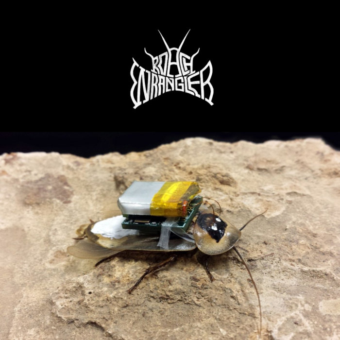 demo pt.2 | Roach Wrangler