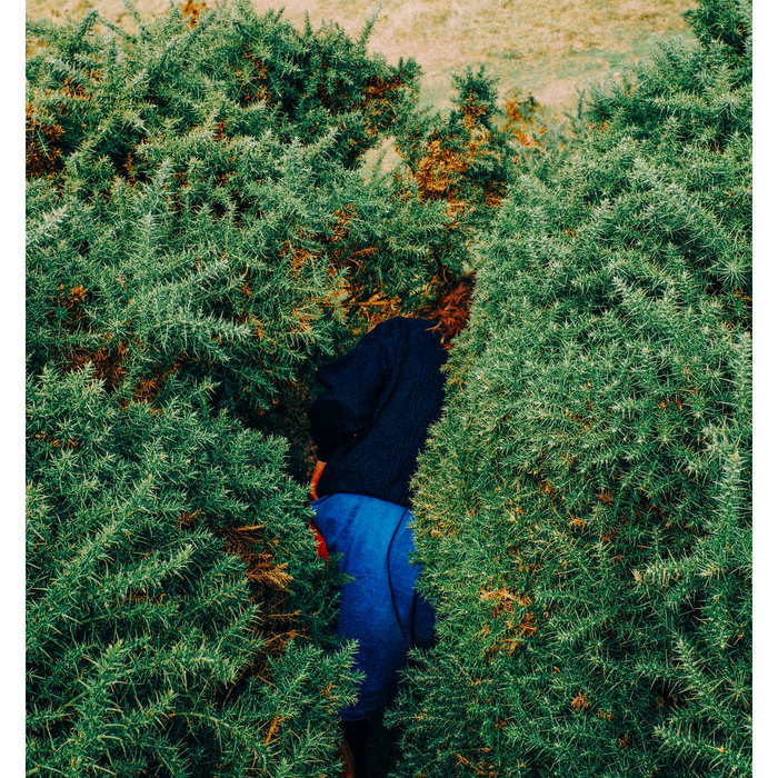 Space Jockey | Furs & Percules | Furs