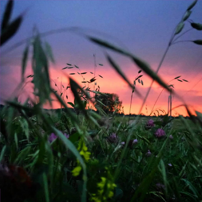 solstice | The Beautiful New Age Relaxation Tapes