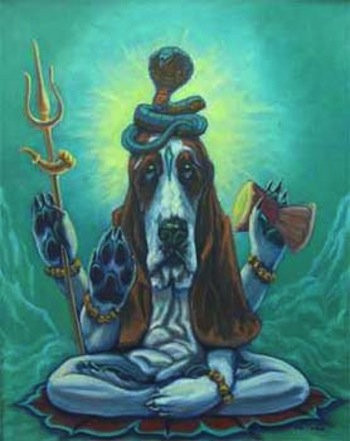 Shiva Shiva Dog