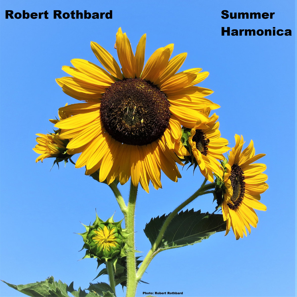 Summer Harmonica | Robert Rothbard