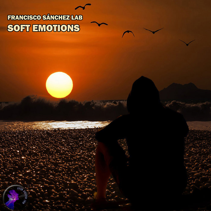 Soft Emotions | Francisco Sànchez Lab | Francisco Sanchez Lab