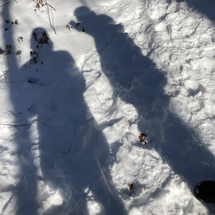 We Here | charlietrytis | Trytis