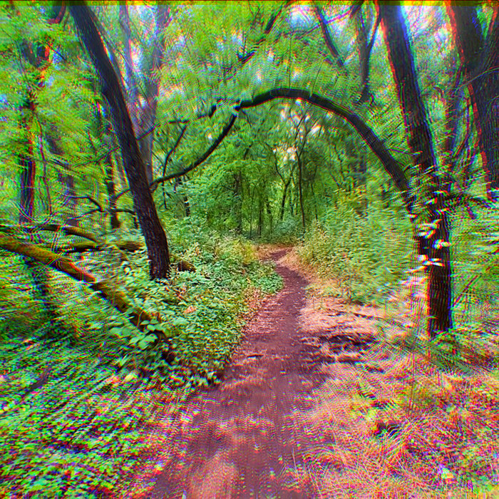 Moss | Ian Connaughton