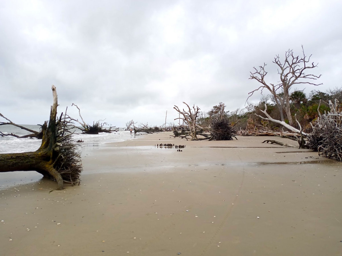 Begin, Again | Jeb Bishop , Tim Daisy & Mark Feldman | Tim Daisy ...