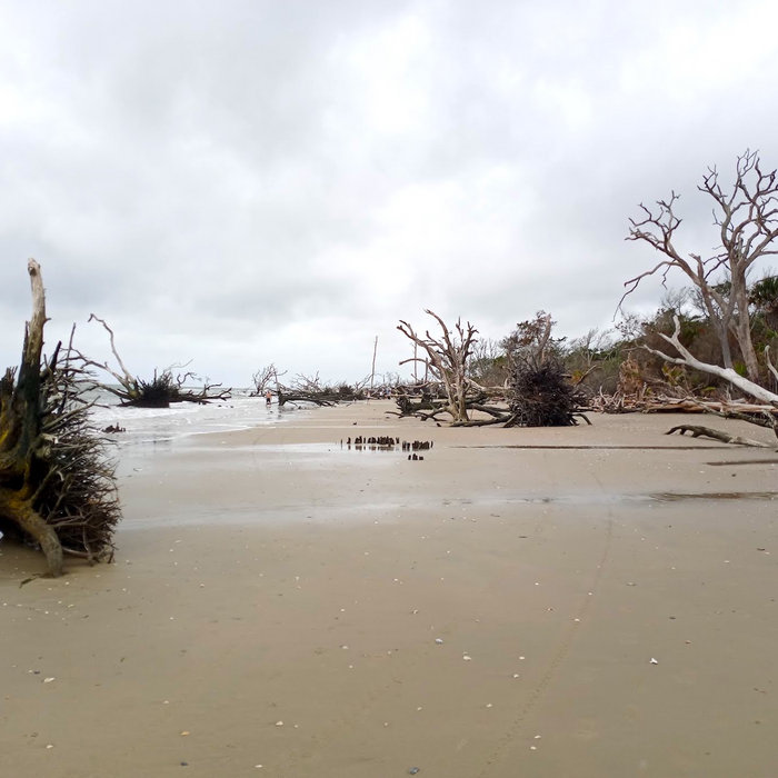 Begin, Again | Jeb Bishop , Tim Daisy & Mark Feldman | Tim Daisy ...