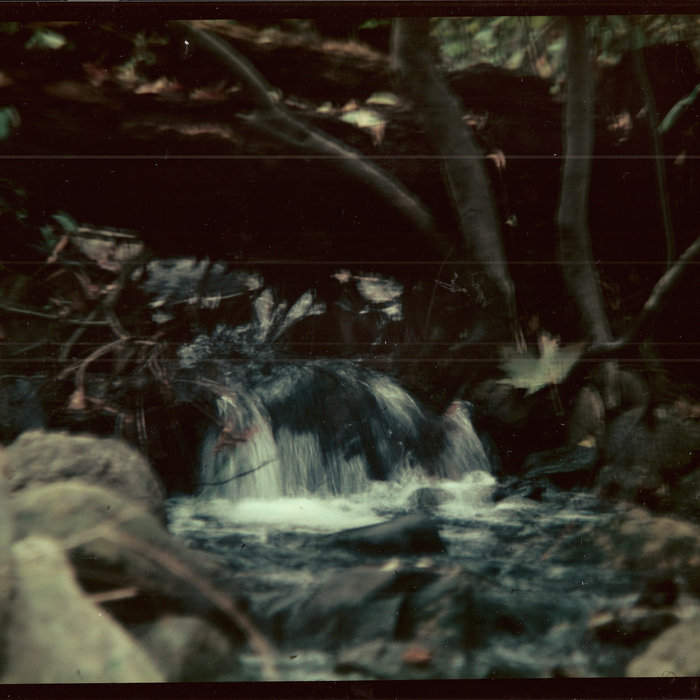 love, left fallow, bursts forth from the spring | early night