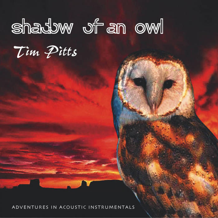 Shadow of an Owl | Tim Pitts