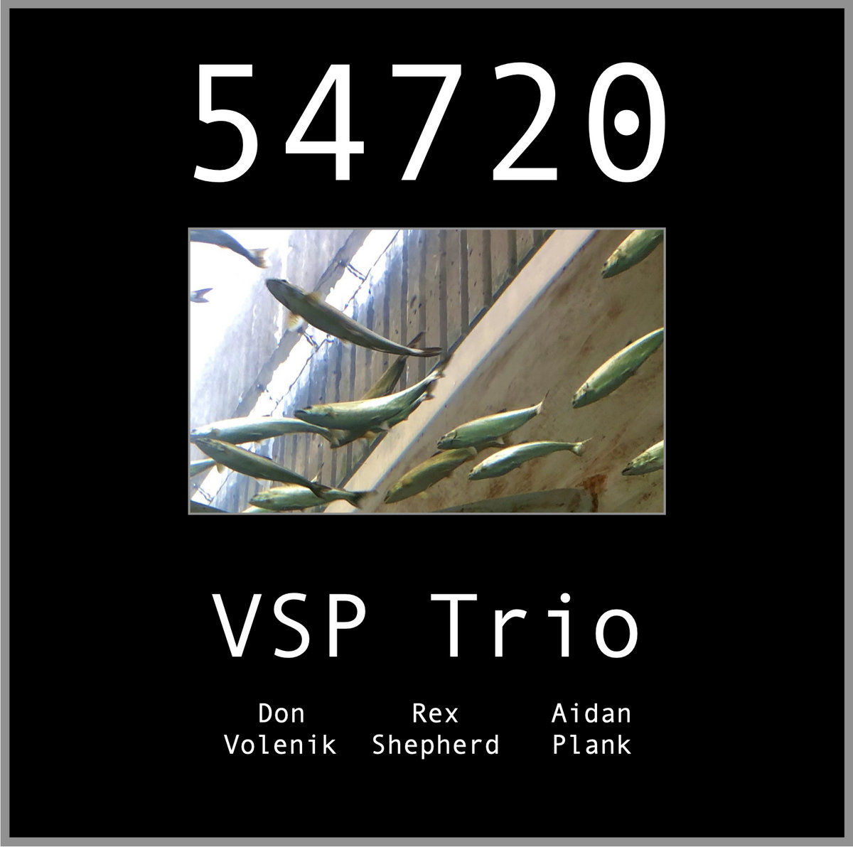 54720 | VSP Trio | Rex Shepherd