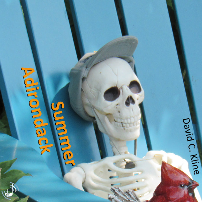 Adirondack Summer | David C. Kline