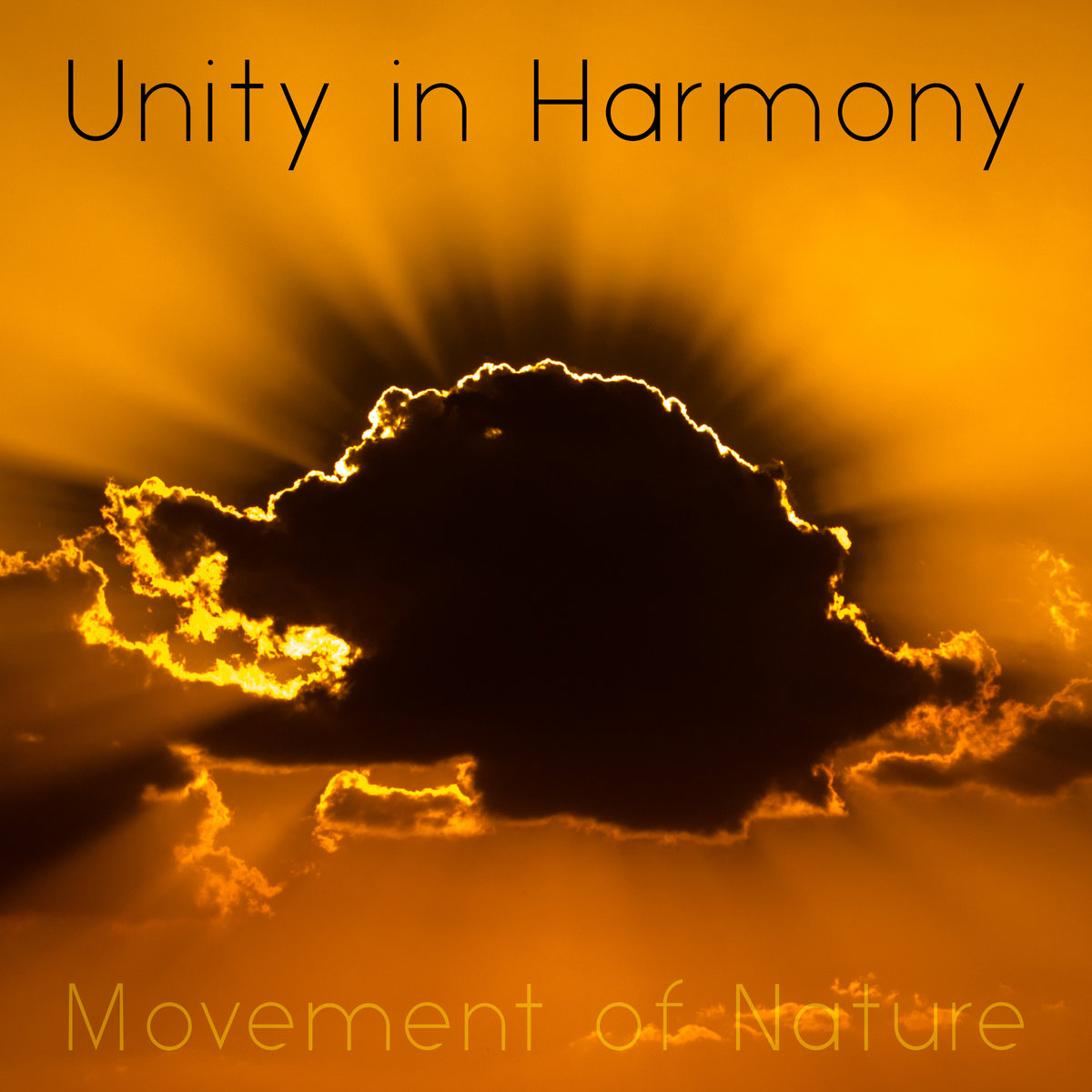 Unity in Harmony - Movement of Nature | Unity in Harmony