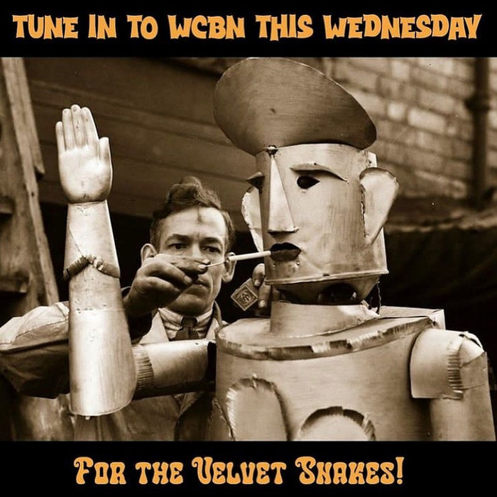 LIVE on WCBN 88.3 FM Ann Arbor | The Velvet Snakes