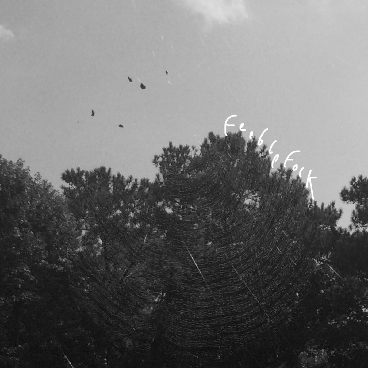 לֶאֱרוֹג | feeble folk