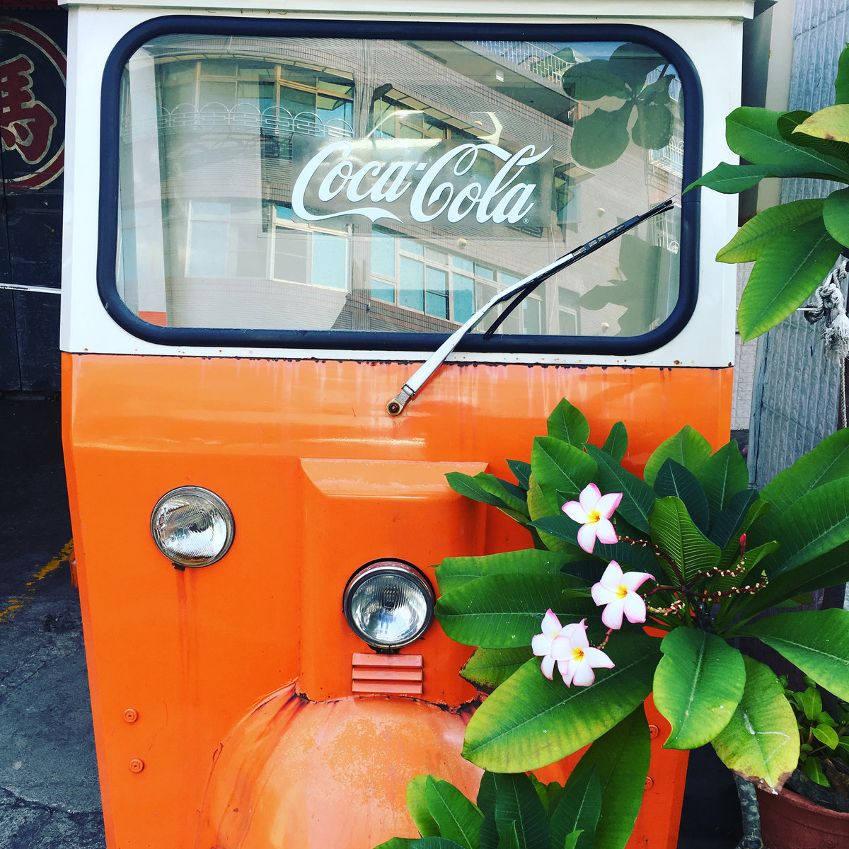 Primrose Hill | Skye Gibson