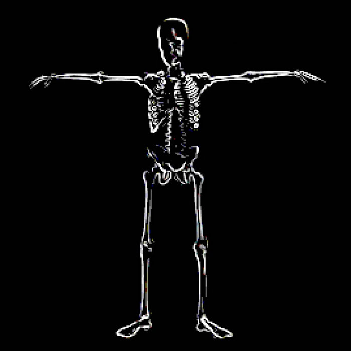 SKELETON DANCE | justan oval