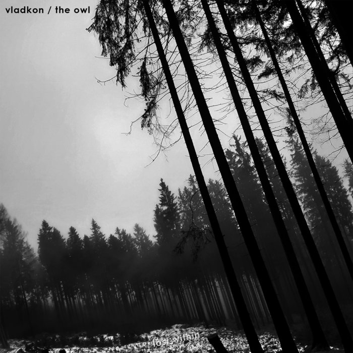 lost within | vladkon / the owl | MAGMA PULSE RECORDS