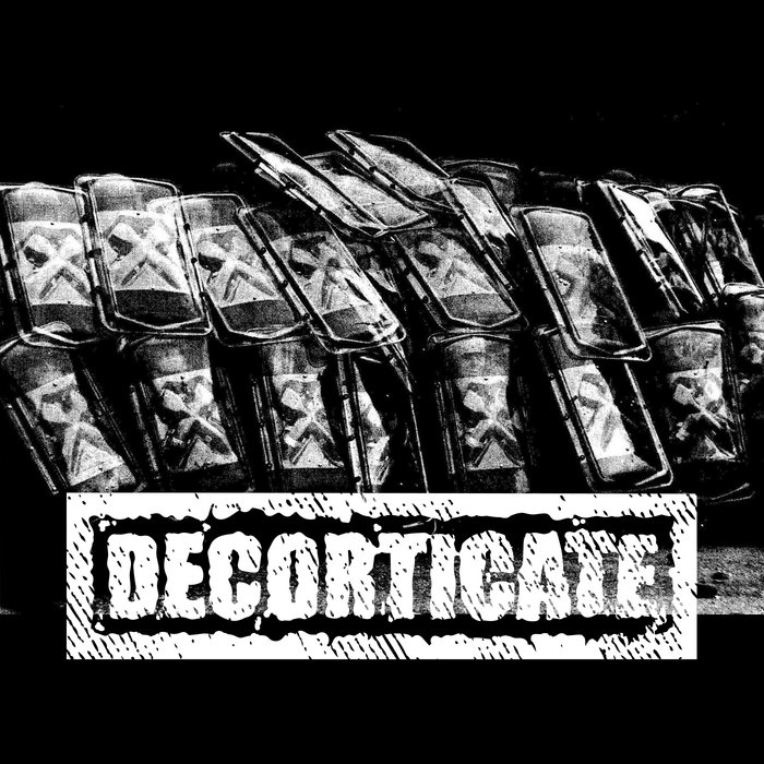 DECORTICATE POSTURE | DECORTICATE