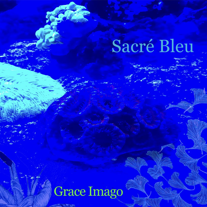 Sacré Bleu | Grace Imago