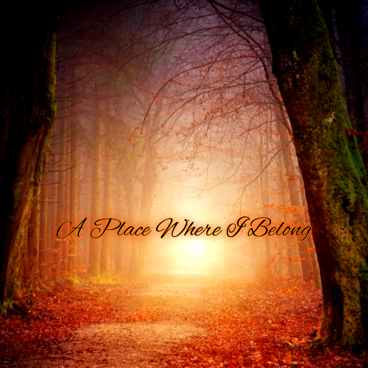 A Place Where I Belong | Old Recycled Souls