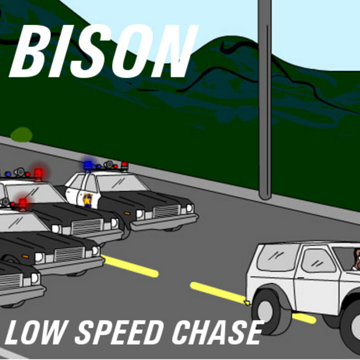 Low Speed Chase | Bison