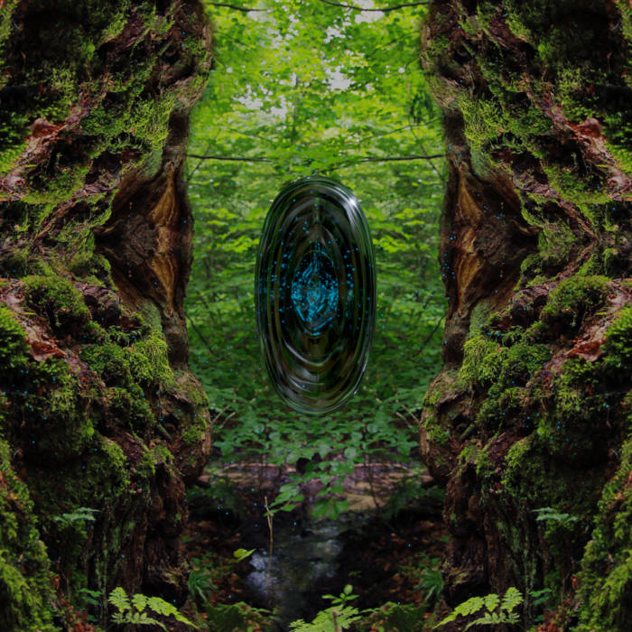 Real Obsidian Portal
