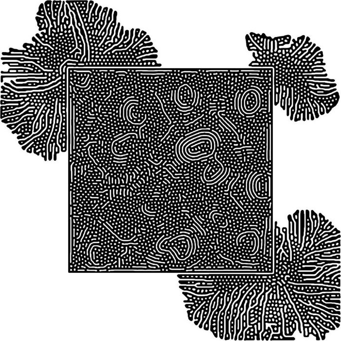 Tinnient | SIFF