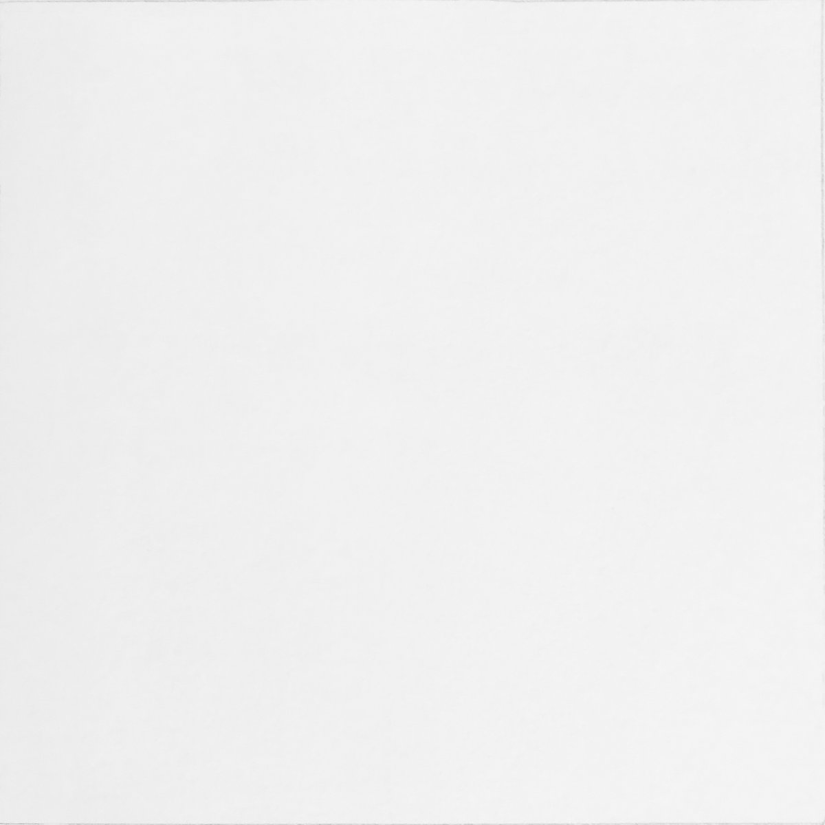 Stephen & Leopold Live | Stephen & Leopold | Chilly Willy