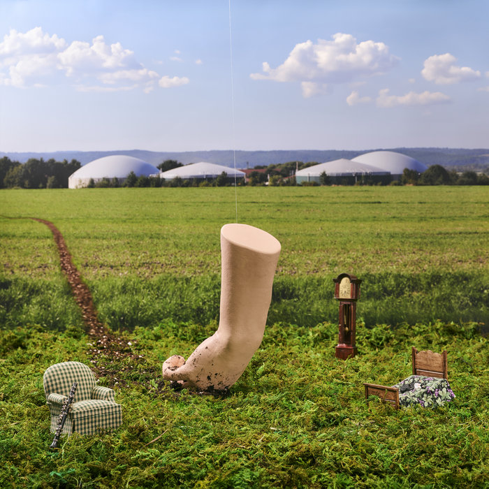 Head Shoulders Knuckles Floor | Lobby Boxer