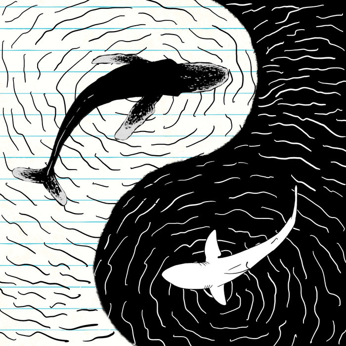 northern whales / southern sharks | Pinnings