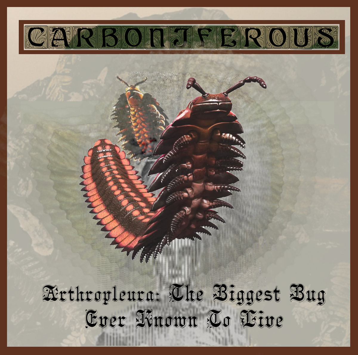 Arthropleura: The Biggest Bug Ever Known To Live | CARBONIFEROUS ...