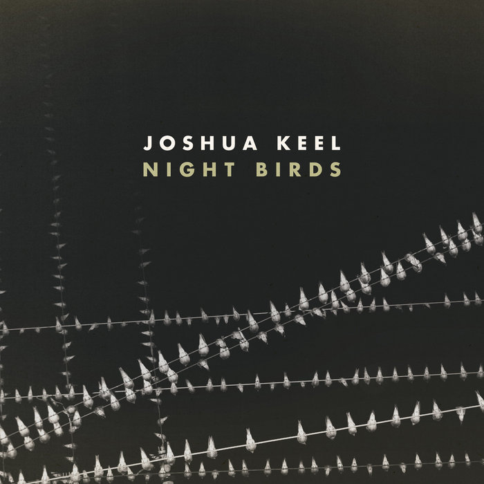 Night Birds | Joshua Keel