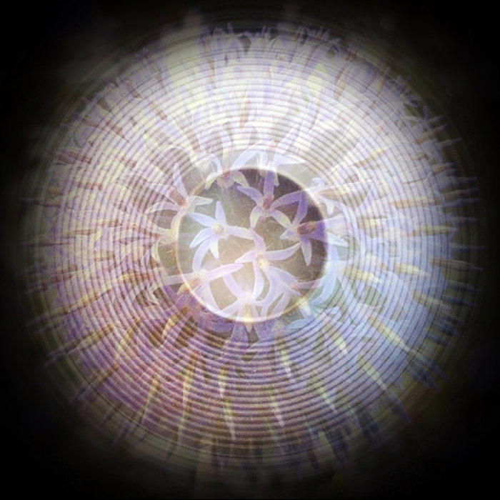 Remote Sensing | Deltason