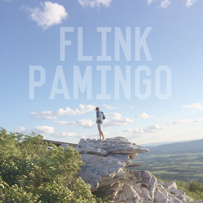 Flink Pamingo | Flink Pamingo