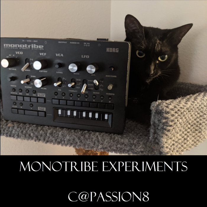 Monotribe Experiments | C@Passion8