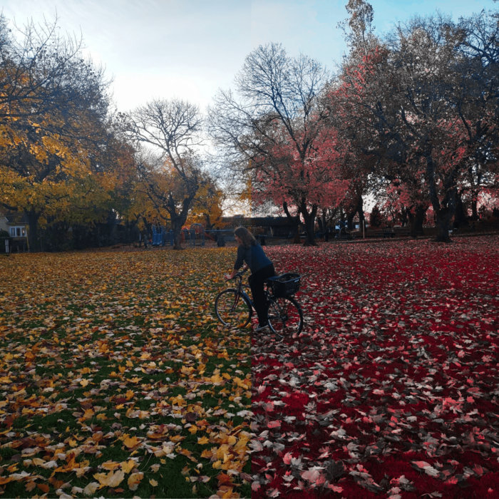 Ember Tender | Jakob Kameroff