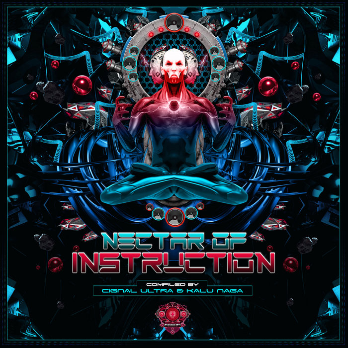 VA - Nectar of Instruction | Sharada Devi Records