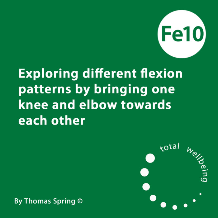 Introduction to Fe10: Exploring different flexion patterns by bringing ...