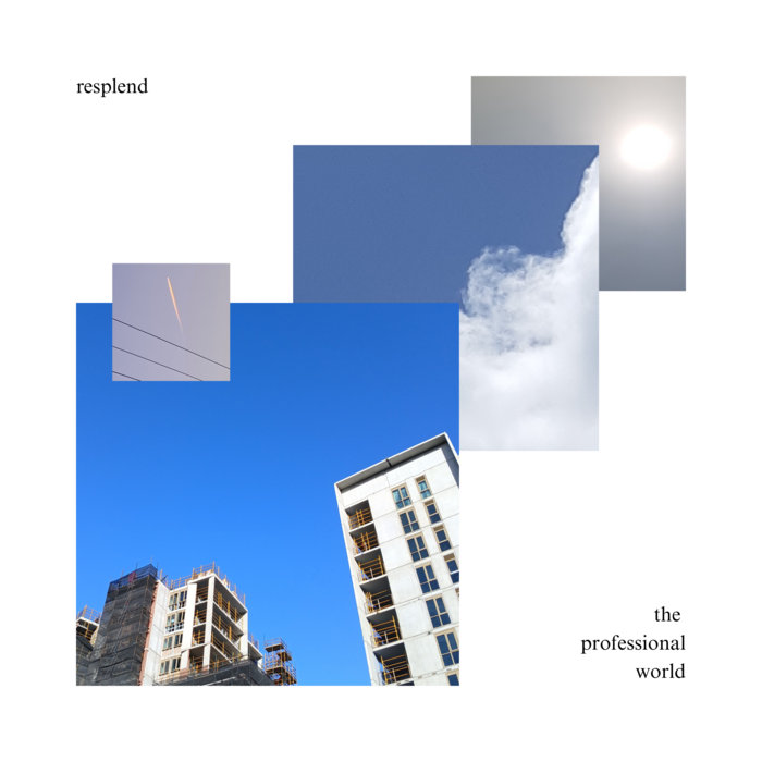 The Professional World | Resplend