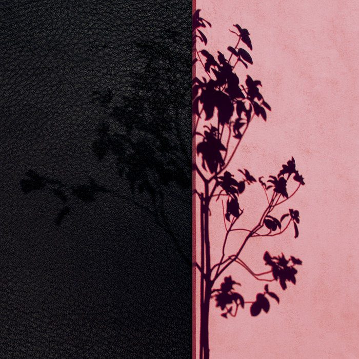 My Future Self My Future Self