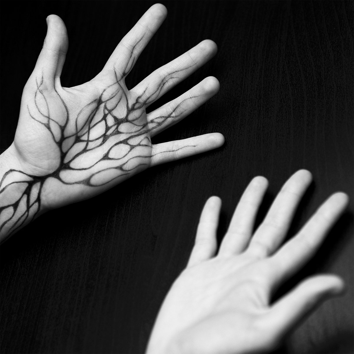 Lullabies for the new normal | Maria Moraru