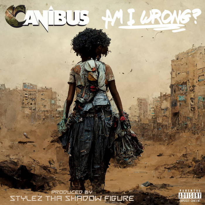 Am I Wrong Album Cover