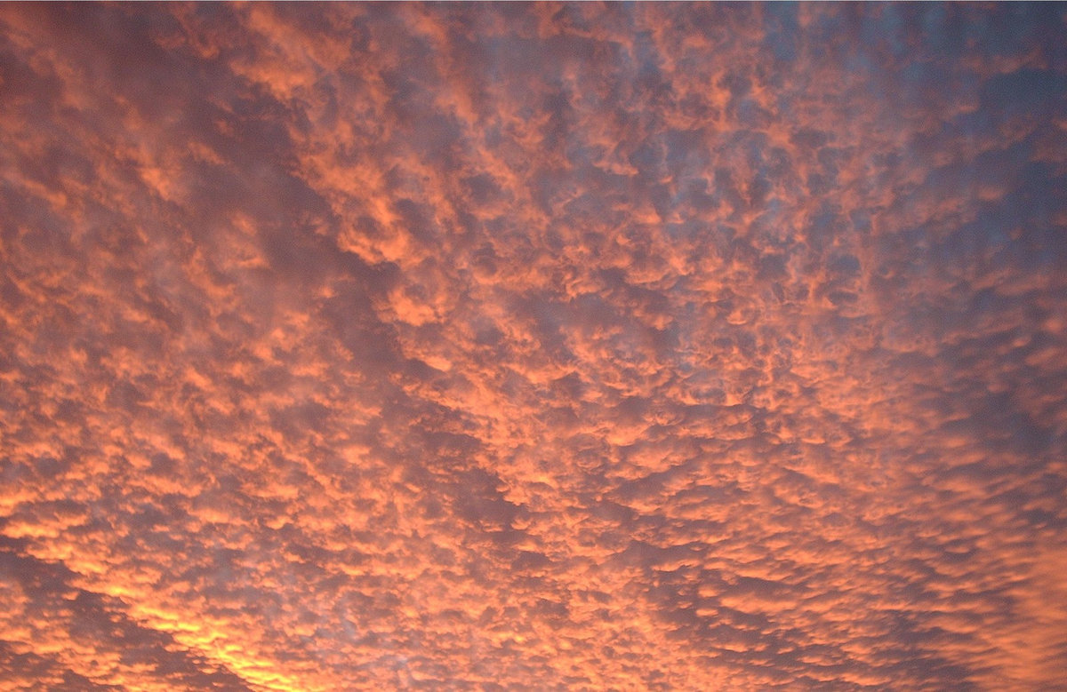 Copper Clouds | Last Days of Rome
