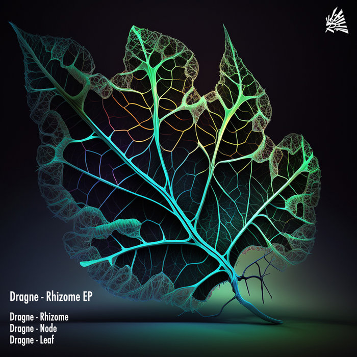 Rhizome EP RCV002 | Dragne | reActive Lab