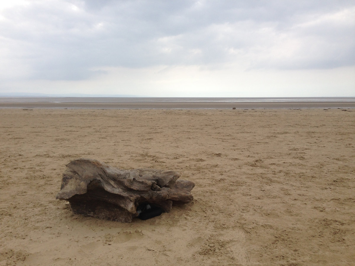 Olympus LS-P4 Review | Peter Annear