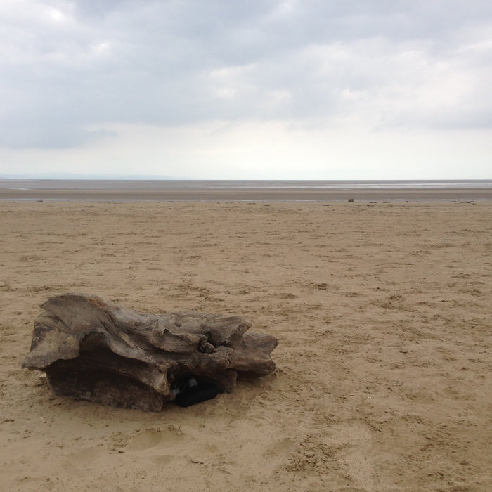 Olympus LS-P4 Review | Peter Annear