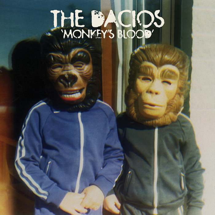 Monkey's Blood | The Dacios | Homeless Records