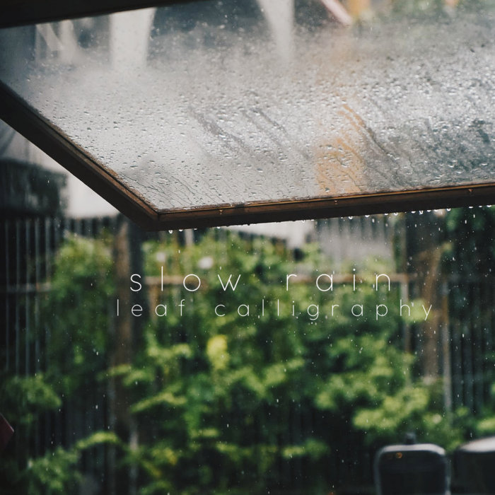 slow rain | leaf calligraphy