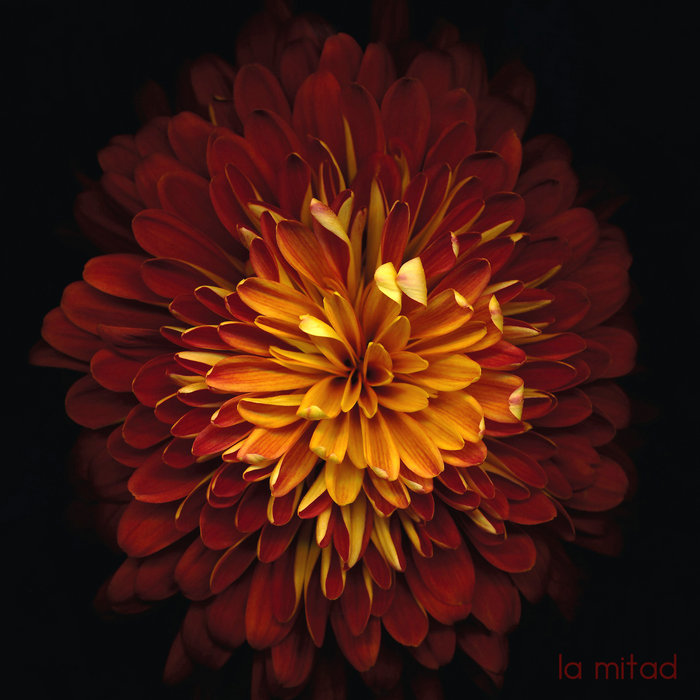PAPER BEAT SCISSORS - LA MITAD | Paper Beat Scissors | Seayou Records