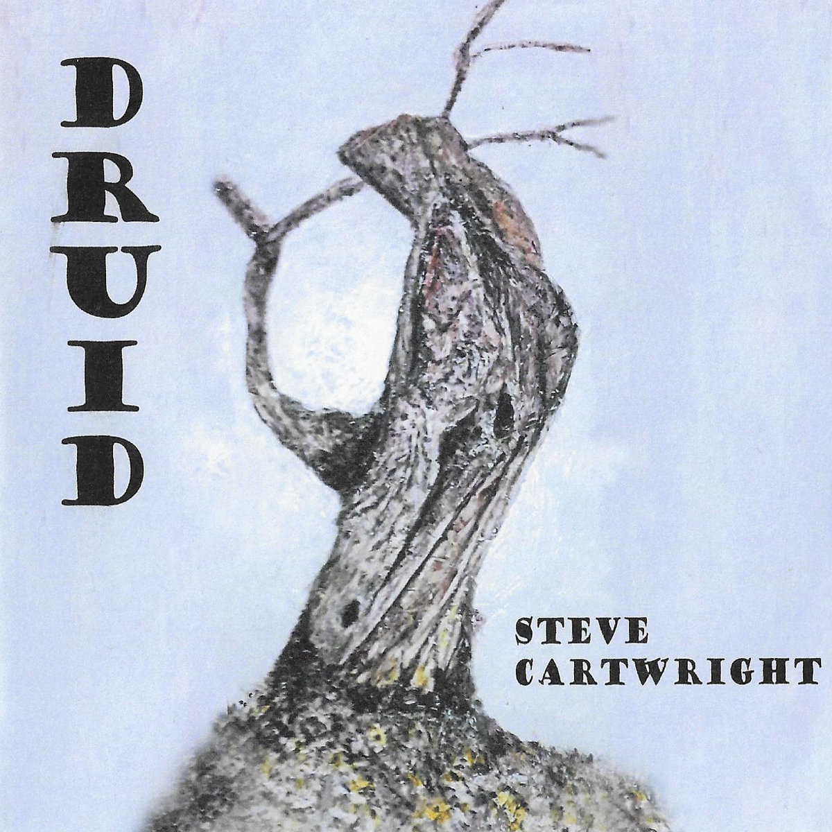Druid | Steve Cartwright